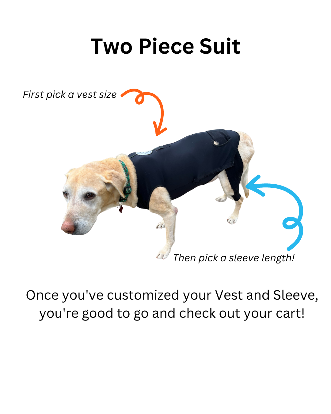 Custom Orthopedic Support for Dogs – LuckyandLoyal.com